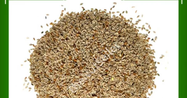 Isabgol Seed (Premium) 1 kg